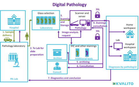 Digitalization of Pathology – A New Approach - Kvalito